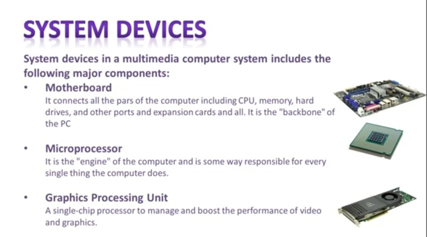 Unit -6 :multimedia components – B.C.A study